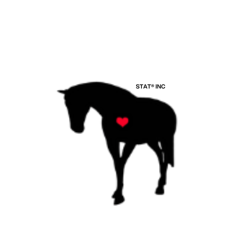 STAT®️ Ligonier Therapeutic Center - Volunteer Form - Volunteer Application